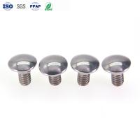 Quality Square Neck Decorative Screw Stainless Steel 20mm Mirror Screws Polished for sale