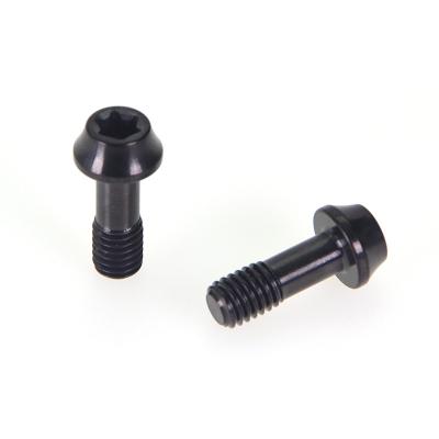 Black PVD Decorative Screws Non Standard Head Stainless Steel Screws Treated