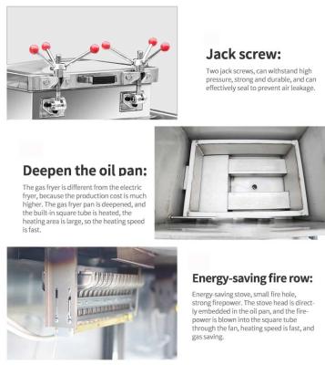 Κίνα 30L LGP/NG Gas Dual Purpose Mechanical Panel Duck Stove 4-12 Kw Power 0.48kg/h Gas Consumption προς πώληση