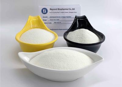 Cina La norma ISO9001 ha idrolizzato i peptidi del collagene per i supplementi di arricchimento nella proteina in vendita