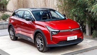 Κίνα U υπέρ Zhi 400 μικρό ηλεκτρικό FWD αυτοκινήτων SUV νέο αυτοκίνητο 150km/h Neta της ενεργειακής μίνι EV προς πώληση