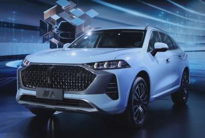 중국 그레아트월 옛날 무게의 단위 모카 PHEV 전기 자동차 157 kw MAX 출력 EV 전기 차량 판매용