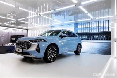중국 그레아트월 옛날 무게의 단위 모카 PHEV 전기 자동차 157 kw MAX 출력 EV 전기 차량 판매용