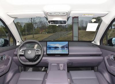 중국 리프모터 C10 C10 기본 EV SUV 신 에너지 차량 순 전기 자동차 링파오 리프모터 C10 판매용