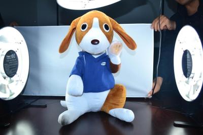 China Plush toys for sale