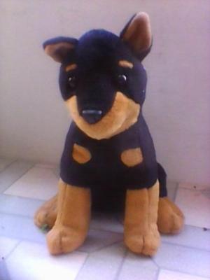 China Plush toys for sale