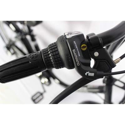 중국 라이트웨이트 10kg 클래식 자전거/시티바이크 6-Speed With Platform Pedals Steel Frame 판매용