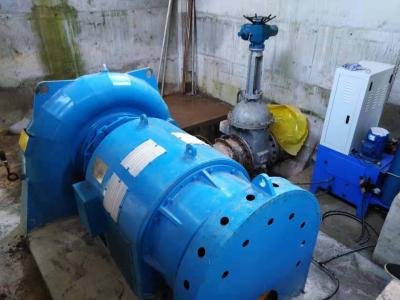 Chine niveau de protection de 10kV Francis Turbine Generator IP54 à vendre