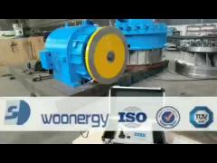 IP54-zertifizierter Brushless/Thyristor-Wasserturbinengenerator