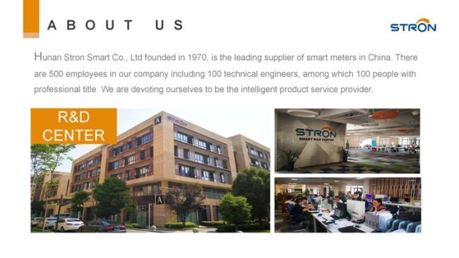 Multifunctional STW36-M 50-Caliber Waltman Prepaid Bulk Water Meter IP68 Protection for Various Scenarios