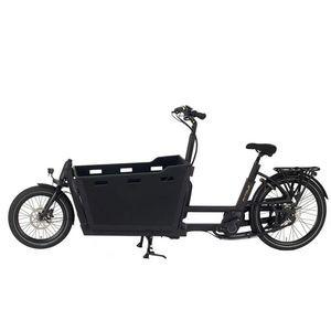 China Pedal-Assist Family E Cargo Bike for Carrying Kids and Pets Ebike Electric Cargo Bicycle for sale