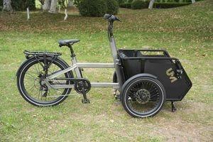 China Al6061 Ebike Electric Bike Cargobike ISO Approved Performance for sale