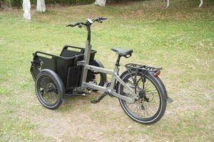 China Powerful Cargo E Bike with 55nm Motor and Electronic Gearsnd Puncture Proof Tyres and Reflective Safety for sale