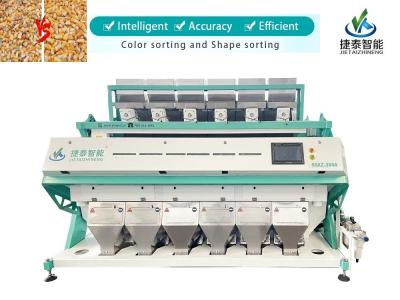 Cina Selezionatrice Ottica Di Colore Del Grano Dei Ceci 220V 50Hz in vendita
