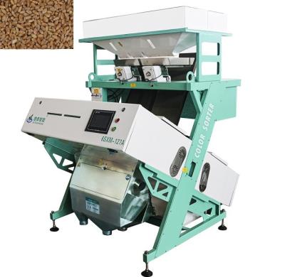 Cina Selezionatore di colore del chicco di caffè del vaglio del riso ISO9001 50HZ per l'elaborazione dei grani in vendita