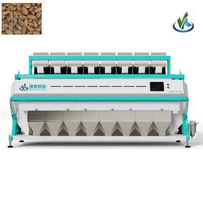 Cina Cereals Grain Colour Sorting Machine 99.99% Accuracy in vendita