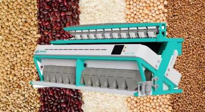Cina High Output Intelligent Rice Beans Color Sorter Machine 11.0 - 19.0 T/H in vendita