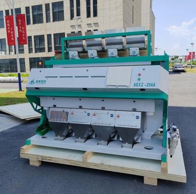Китай High Efficiency Rice Sorter Machine 4 Chutes 256 Channels продается
