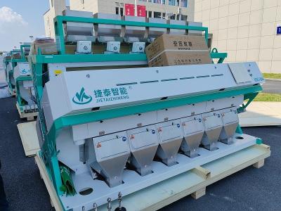 Cina 4-8 T/H Grain Color Sorter Machine With 6/384 Chutes ≥99.99% Accuracy in vendita