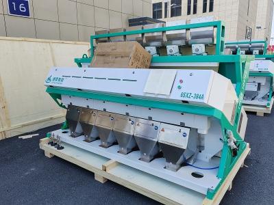 Cina 6 Chutes 384 Channels Grain Sorter Machine 4-8T/H ≥99.99% Accuracy 220V/50Hz in vendita