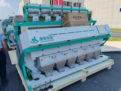 Cina 6/384 Channels 4-8T/H Grain Sorting Machine More 99.99% Accuracy 220V 50Hz in vendita