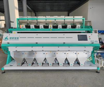 Cina RGB Corn Peanut Rice Buckwheat Sorting Machine High Capacity in vendita