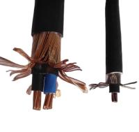 Quality 600V ASTM 2*16mm xlpe insulated copper aluminum Aerial service concentric cable for sale