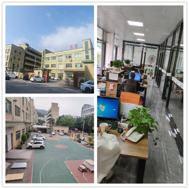 Company overview and background