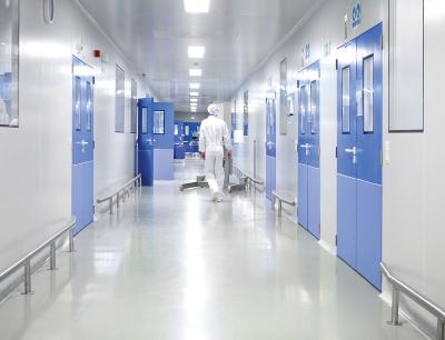 Cina Interior Hollow Metal Access Air Shower Steel Clean Room Door For Food Warehouse in vendita