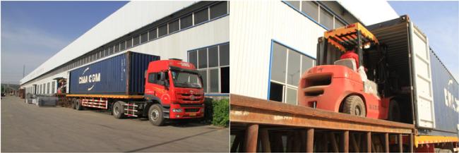 High quality steel garden fence door tubular Double gate