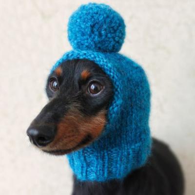 China Y-Z Pom-Pom Mini Dachshund Small Dog Hat Knit Knitted Little Dog Pet Hat for sale