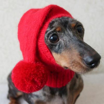 China Y-Z Small Mini Dachshund Wiener Dog Pet Hat Dog Clothes Knitted Little Knit Dog Hat for sale