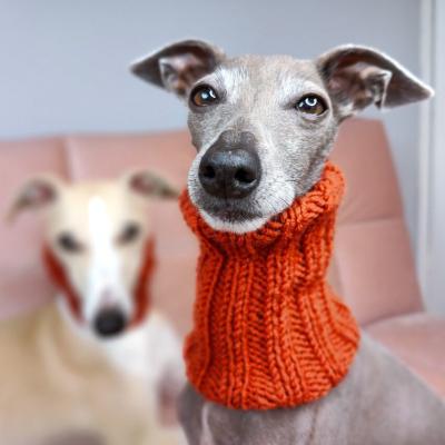 China Y-Z Sport Funny Personality New Dog Head Neck Warmer and Windproof Knit Fighting Hot Snood Hat for sale