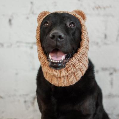 China Y-Z Pet Tops Bear Dog's Ear Hood Designer Winter Knitted Snood Large Dog Clothes Hat for sale