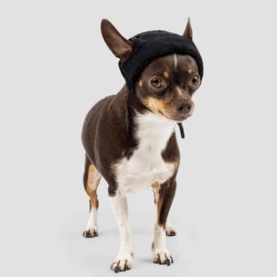 China Y-Z Wholesale custom logo designer knitted adjustable winter warm funny dog skull hat for sale