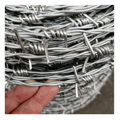 Cina Filtro spinato galvanizzato a caldo con diametro di filo da 1,6-3,2 mm in vendita