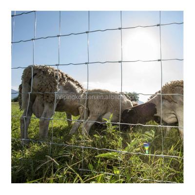Cina Campo agricolo Recinzione comune a cerniera a maglia galvanizzata a caldo per bovini in vendita