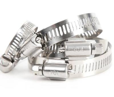 Cina Accessori per tubi sanitari di SS304 8-12mm singolo Pin Stainless Steel Hose Clamp in vendita