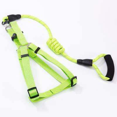 Cina Guinzaglio del collare dell'animale domestico dei pp S-L Light Weight Adjustable per i cani in vendita