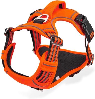 Cina Il neoprene ha riempito il cablaggio nudo della maglia del cane, nessuna tirata L maglia di caccia del cane in vendita