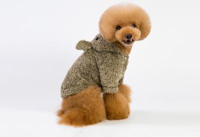 Китай Пальто собаки прелестных Hoodies любимца бархата коралла дизайна коалы моды милое для бульдога игрушечного любимца французского продается