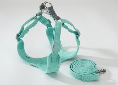 Cina Morbidezza del campione di sostegno e collare di cane di lusso del denim del guinzaglio durevole del cablaggio in vendita