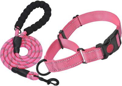 China Grote de Halsband en de Leibandreeks van het Hond Duurzame Gevlechte Nylon Weerspiegelende Zachte Handvat Te koop