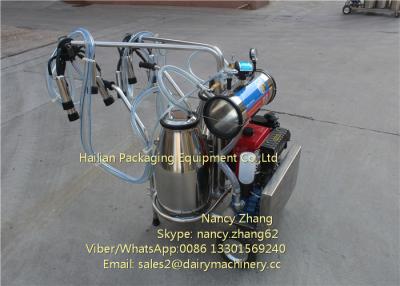 Cina Una mungitrice portatile ad alta velocità da 25 litri per la mucca di Homehold in vendita