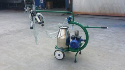 Cina HL-JN07 Macchina di mungitura a pompa a secco con gruppo a secchio singolo per il mungimento delle mucche in vendita