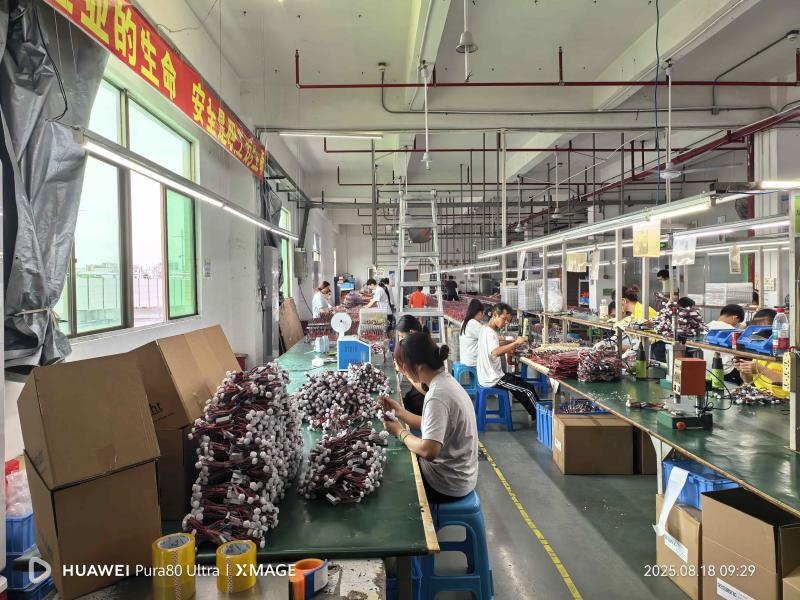 Fornitore cinese verificato - Shenzhen Xinhe Lighting Optoelectronics Co., Ltd.