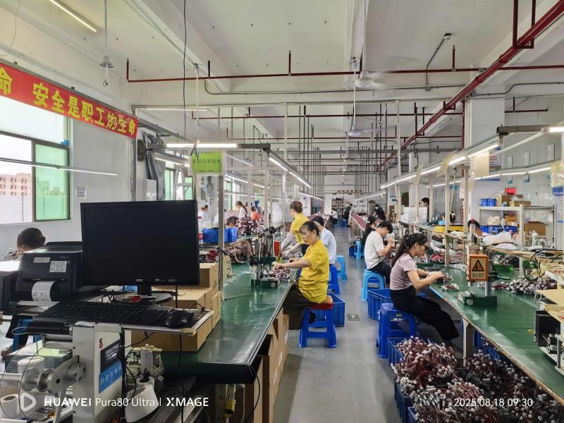 Fornitore cinese verificato - Shenzhen Xinhe Lighting Optoelectronics Co., Ltd.