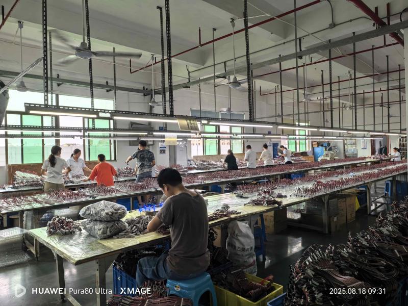 Fornitore cinese verificato - Shenzhen Xinhe Lighting Optoelectronics Co., Ltd.