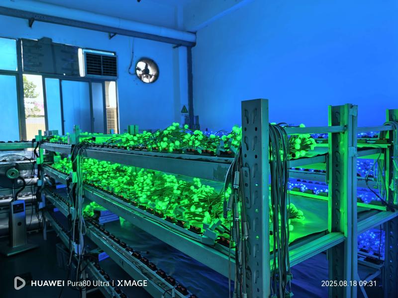 Fornitore cinese verificato - Shenzhen Xinhe Lighting Optoelectronics Co., Ltd.