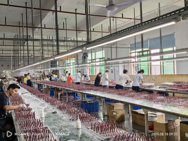 Fornitore cinese verificato - Shenzhen Xinhe Lighting Optoelectronics Co., Ltd.